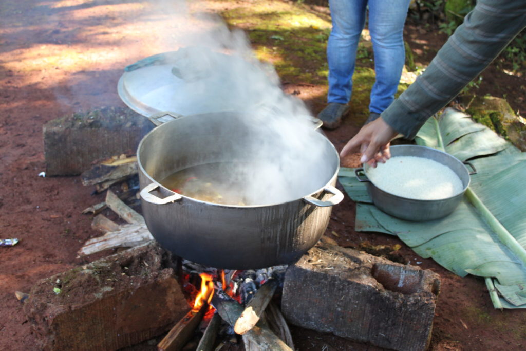 Stay cool and stay green, even when it's hot out – Plant With Purpose