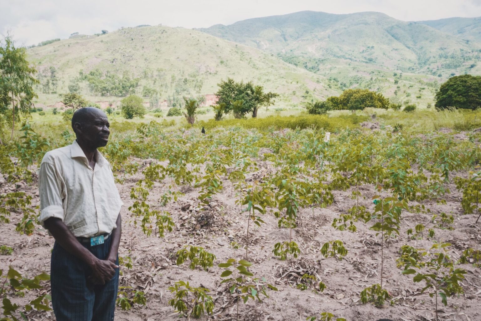 Four Years Time – Samuel's story in the DR Congo | Plant With Purpose