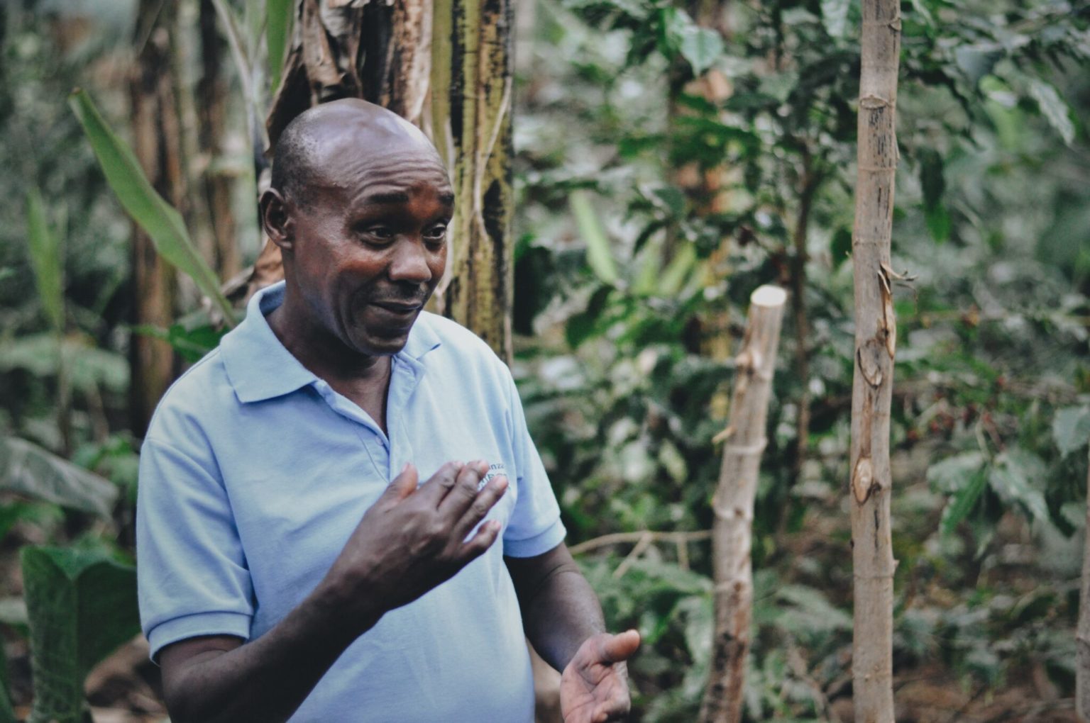 The Gold Mine of Local Ingenuity – The Story of Wilson