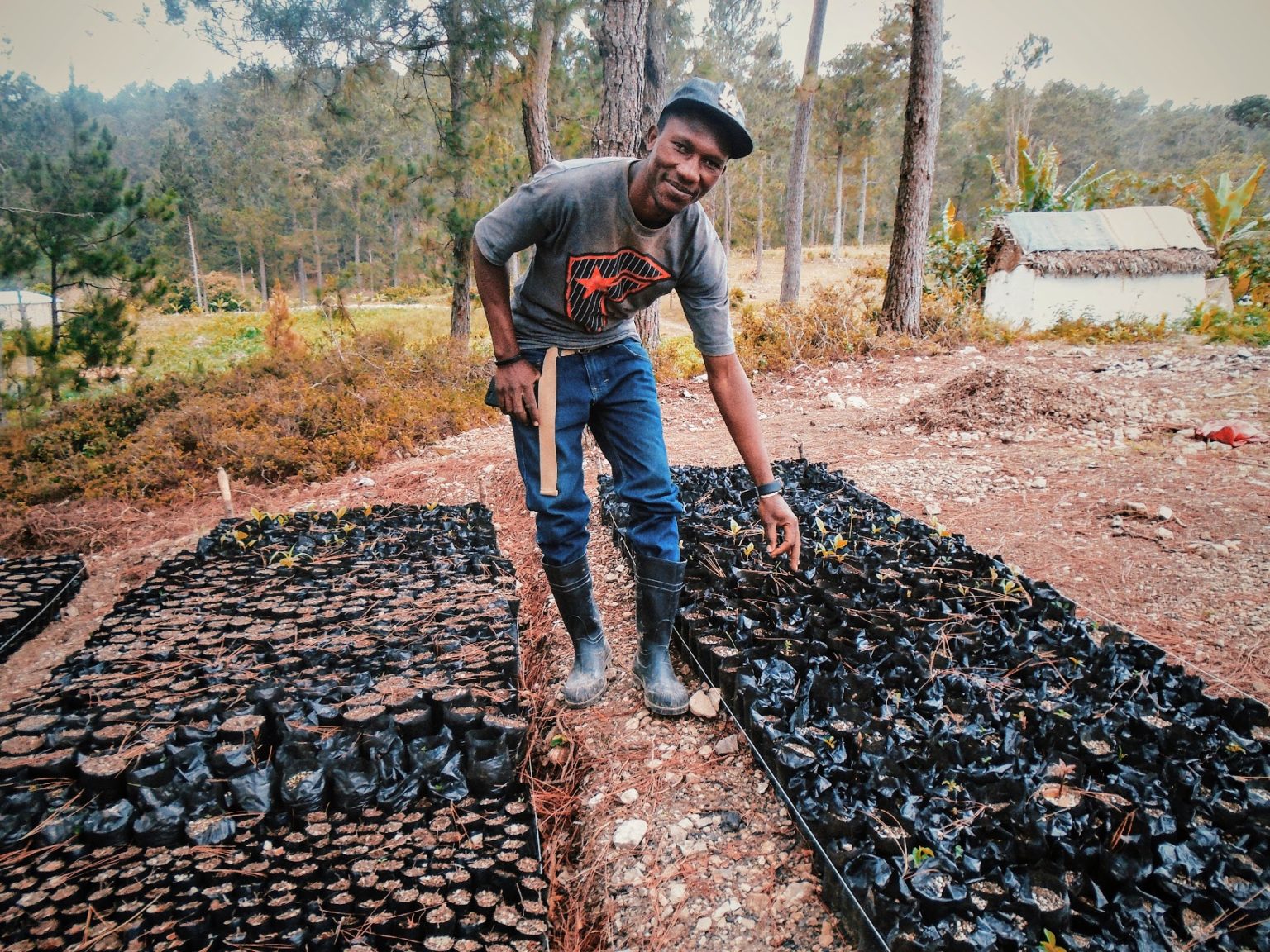 Trillion Tree Movement a Perfect Fit for Plan With Purpose