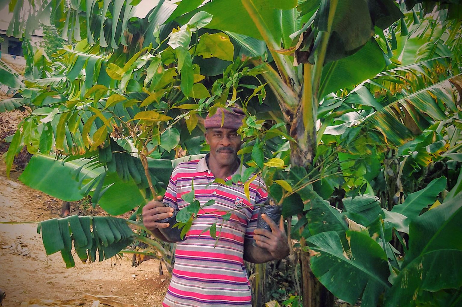 Addressing Common Concerns about Planting Trees | Plant With Purpose