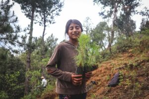 Tree Planting Nonprofit | Plant With Purpose