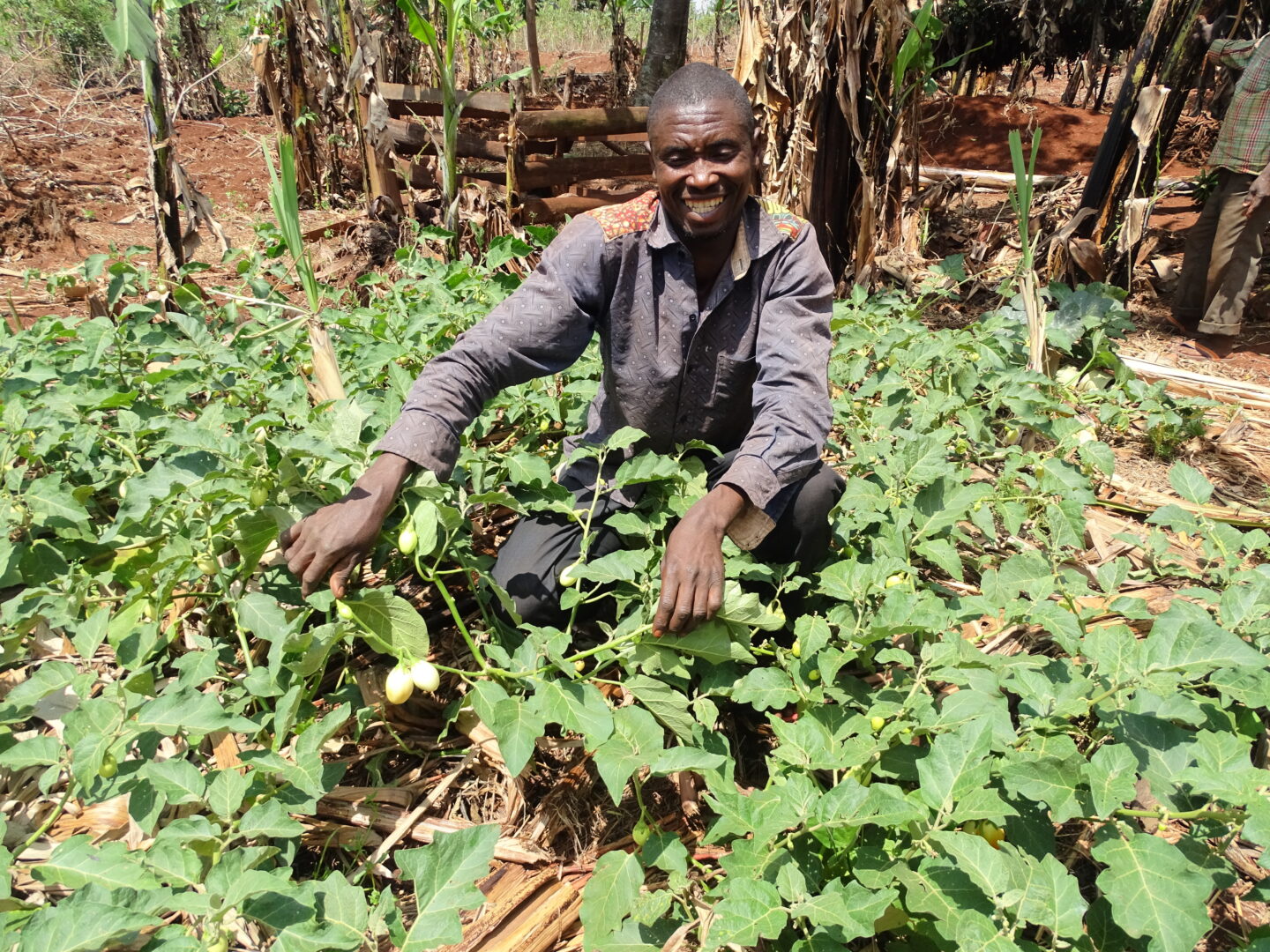 Burundi Farmer Learns Agricultural Skills | Plant With Purpose