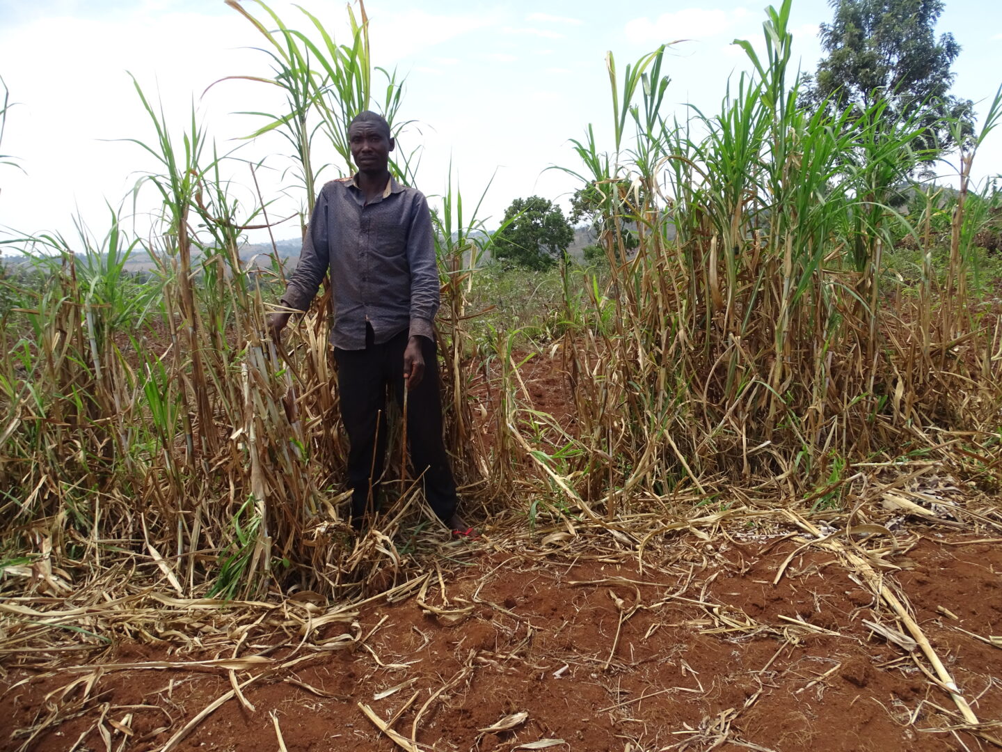 Burundi Farmer Learns Agricultural Skills | Plant With Purpose