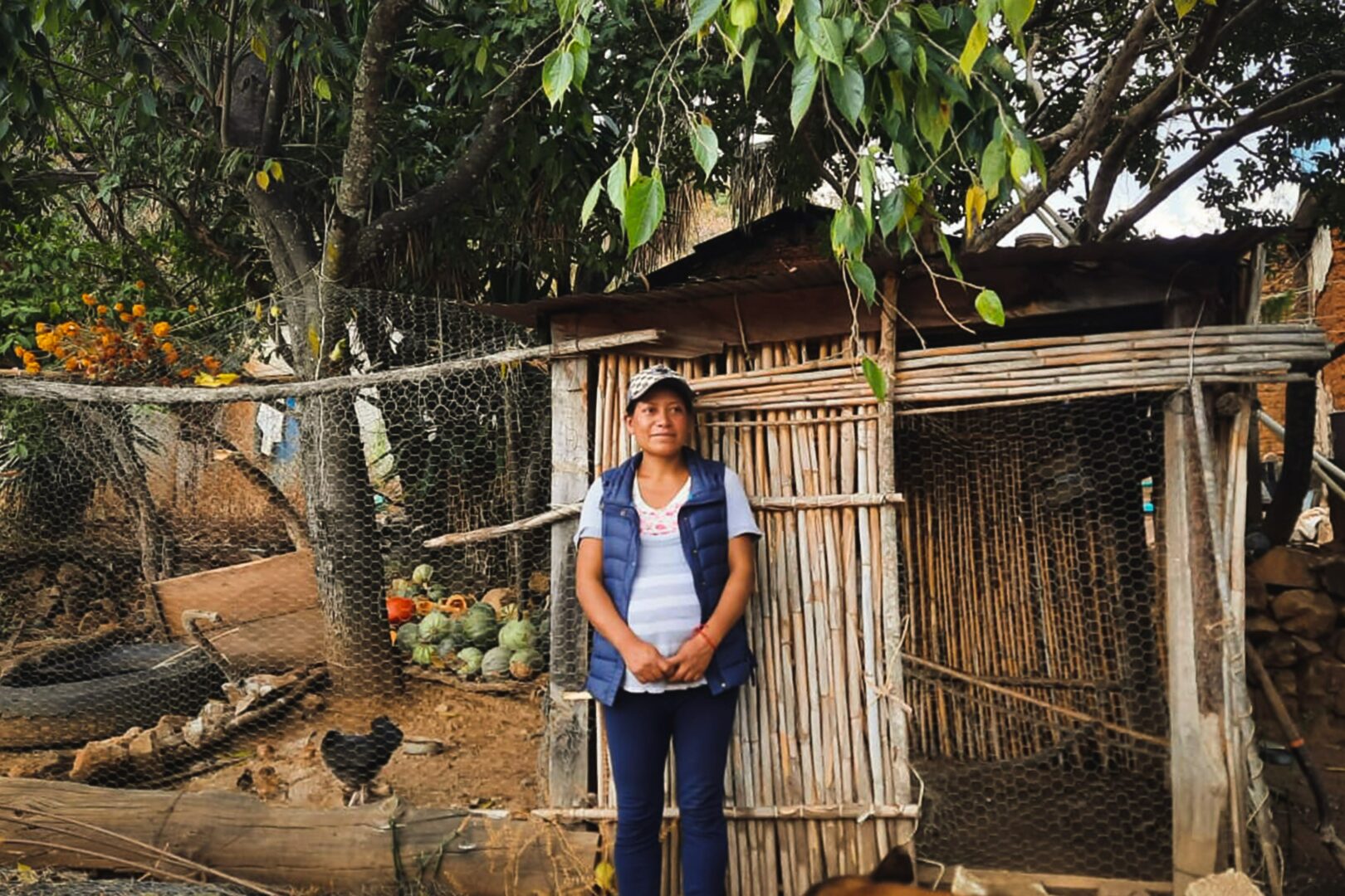 Gaining Faith and Sustainability in Mexico | Plant With Purpose