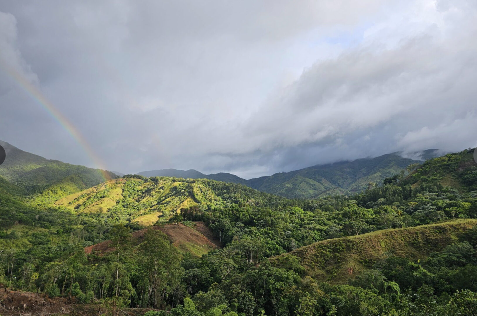 Smallholder Farm Success in the Dominican Republic | Plant With Purpose