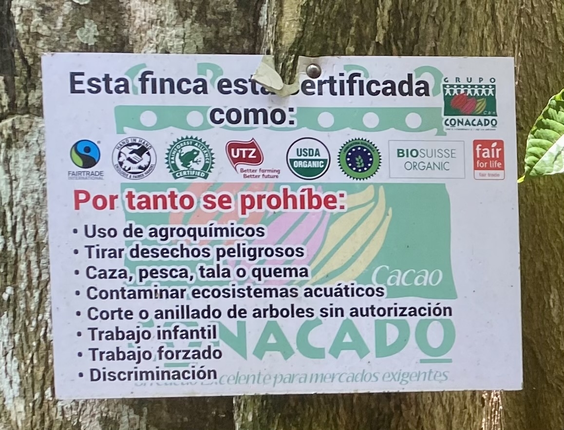 Smallholder Farm Success in the Dominican Republic | Plant With Purpose