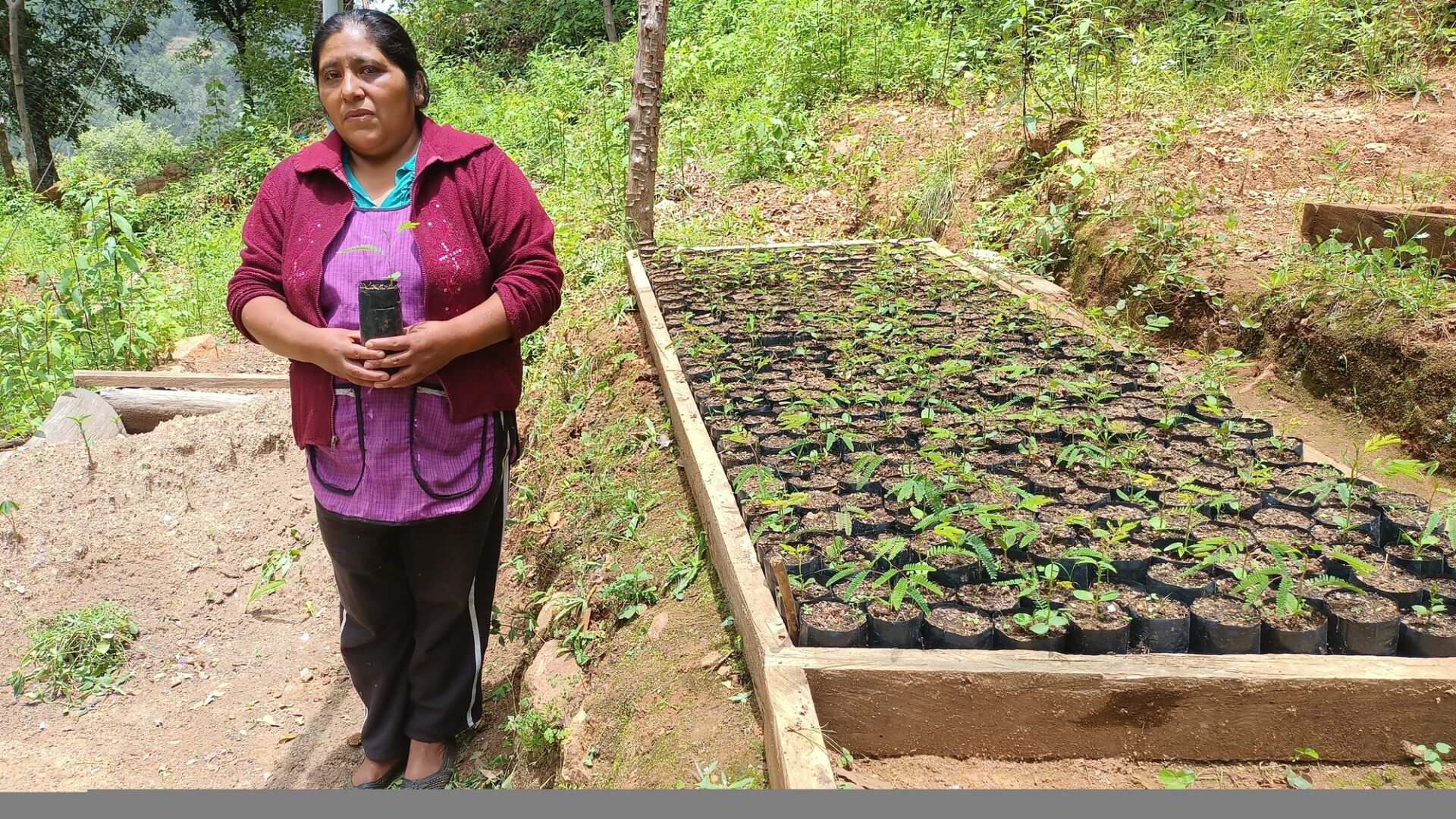 Women in Mexico Learning and Growing | Plant With Purpose