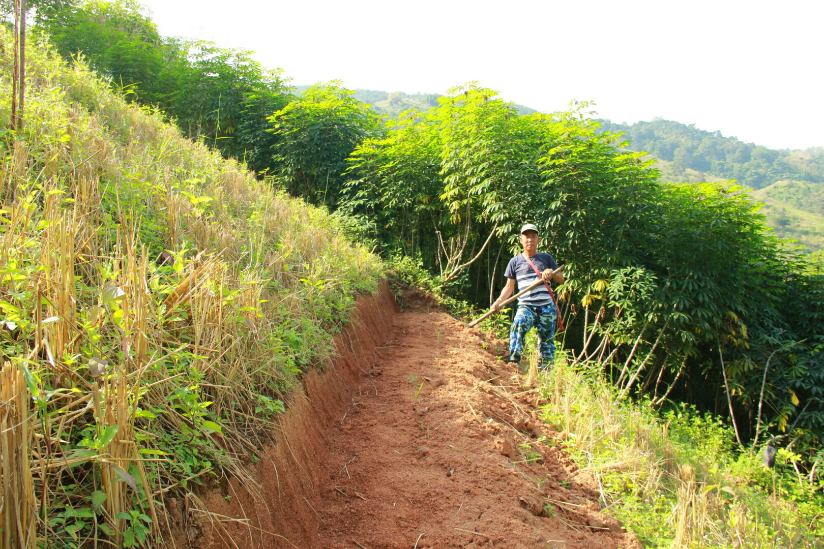 Thailand Farmer Works to Restore the Soil | Plant With Purpose