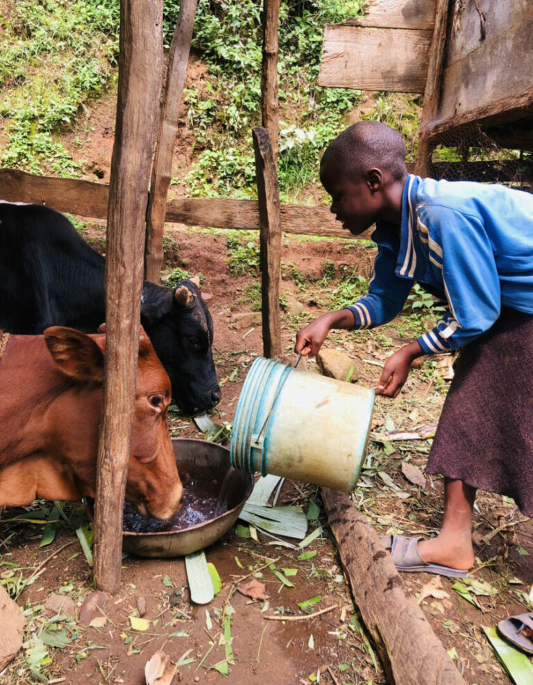 Education in Tanzania is Beacon of Hope | Plant With Purpose