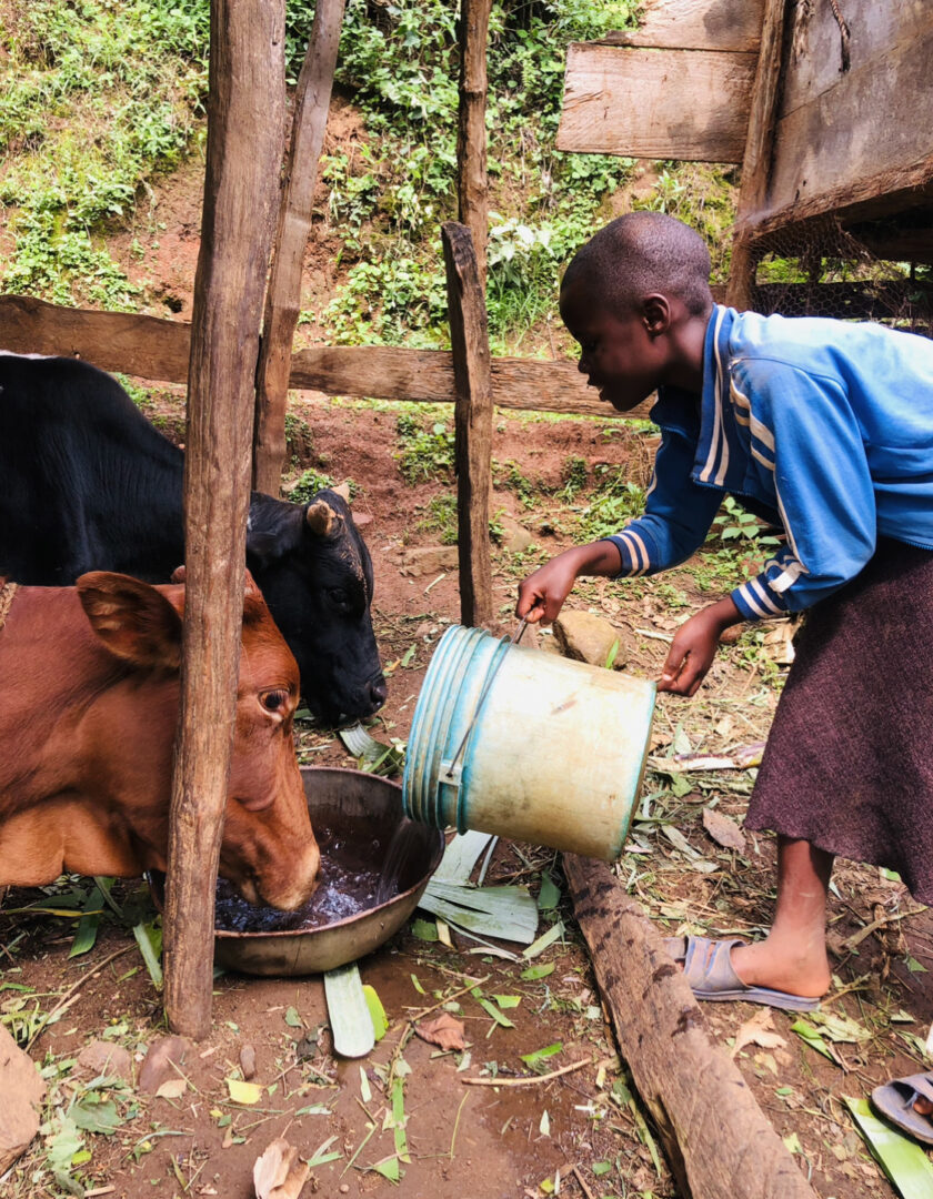 Education in Tanzania is Beacon of Hope | Plant With Purpose