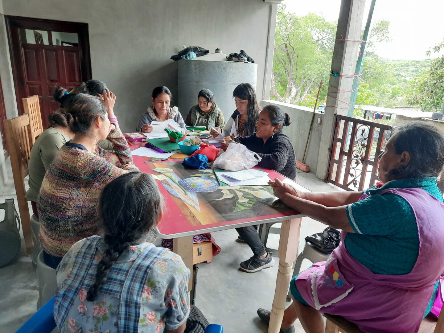 NGO Program Monitoring Creates Impact Evaluation Report | Plant With ...