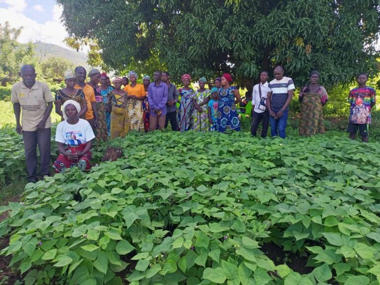 How Tree Planting Helps Rebuild Natural Habitats | Plant With Purpose