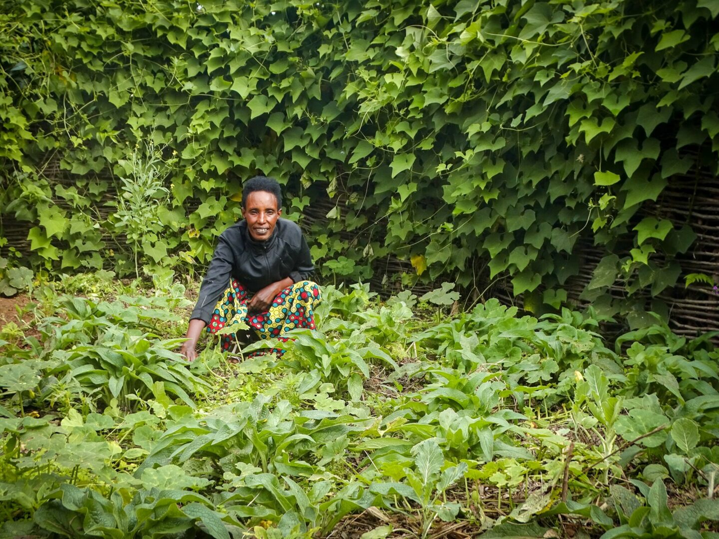 Empowering Women Through Tree Planting | Plant With Purpose