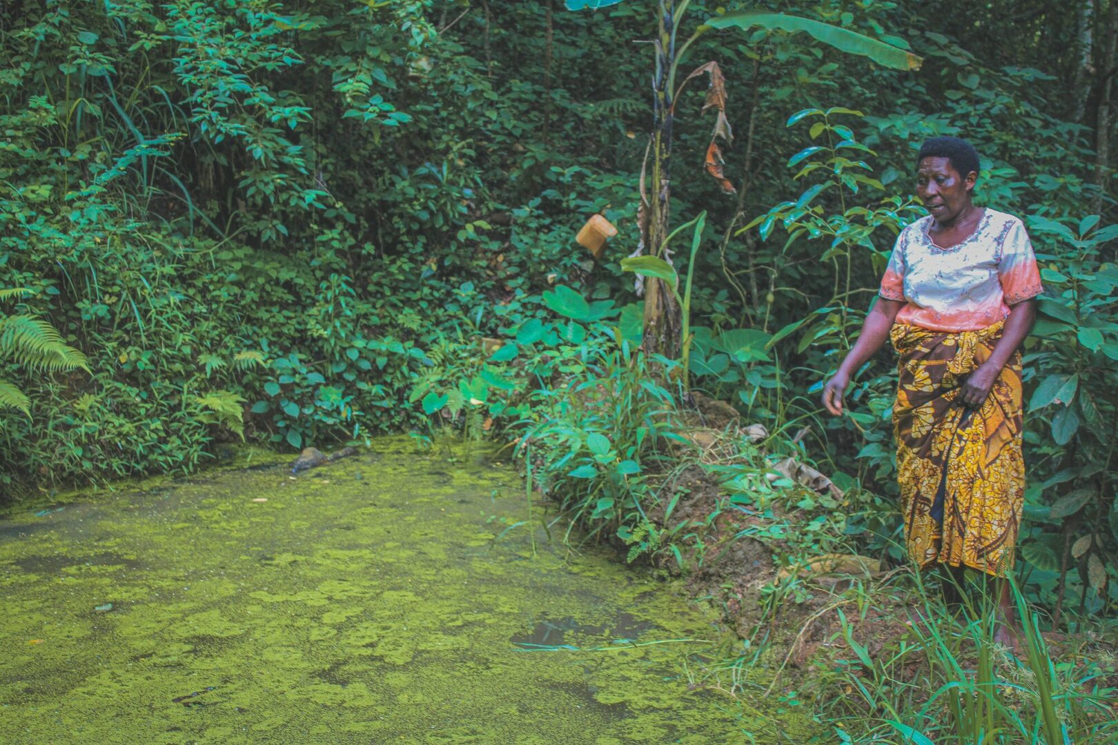 Empowering Women Through Tree Planting | Plant With Purpose