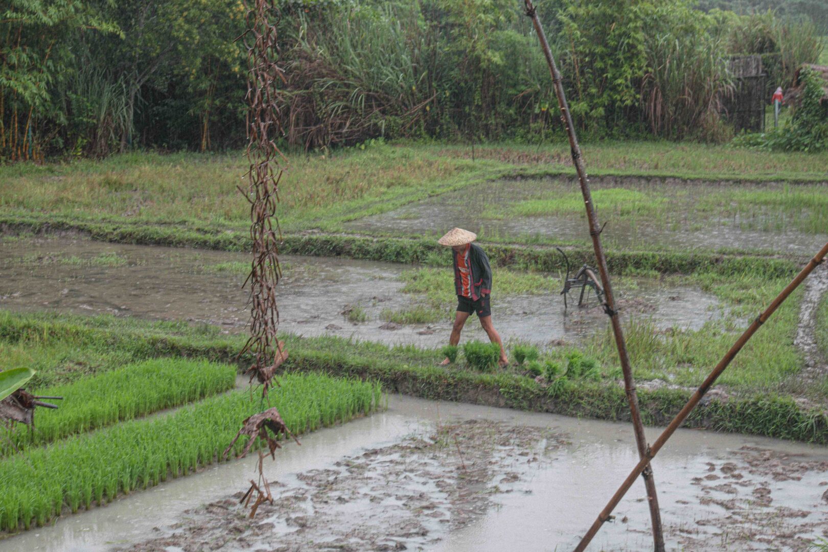 Faith Based Organizations and Environmental Stewardship