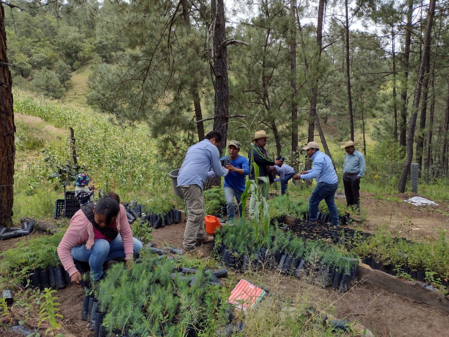 Elias, Mexico: "We want to change our philosophy" | Plant With Purpose