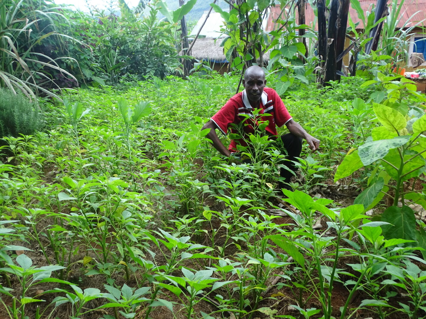 Kagabo, Burundi: "We know our priorities." | Plant With Purpose