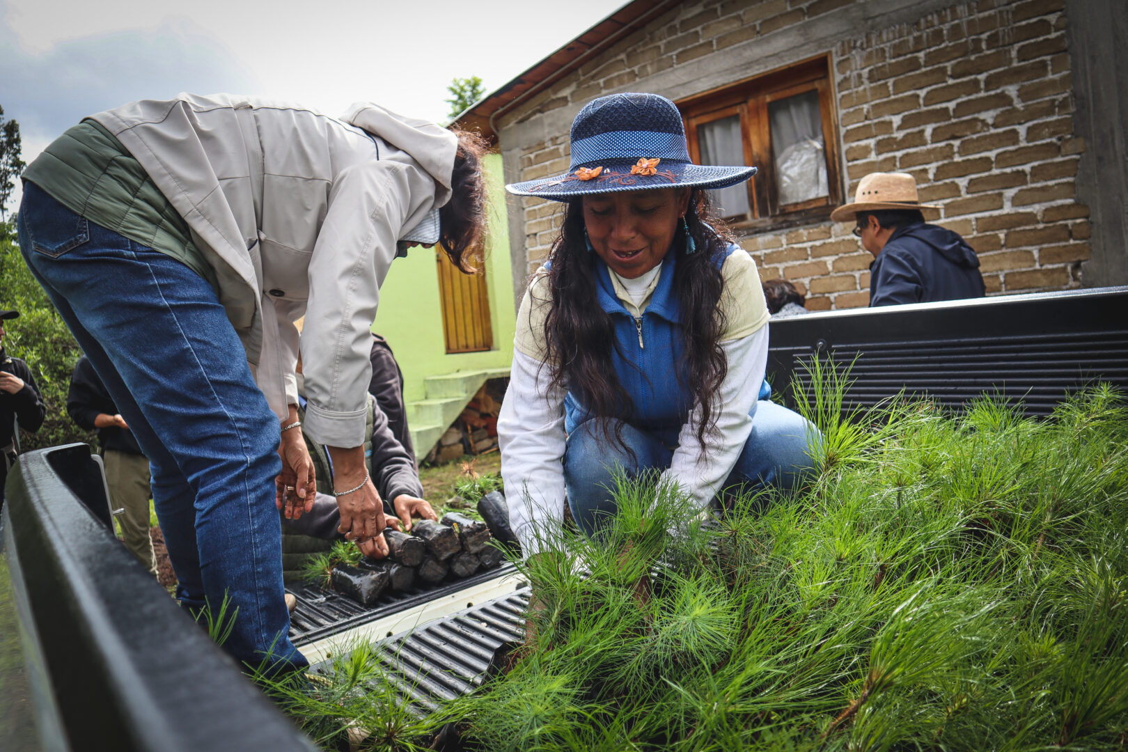 Tree Planting as a Tool for Economic Empowerment | Plant With Purpose