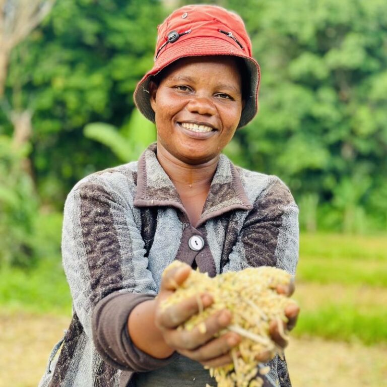 Biblical Trees: The Significance of Trees in the Bible | Plant With Purpose