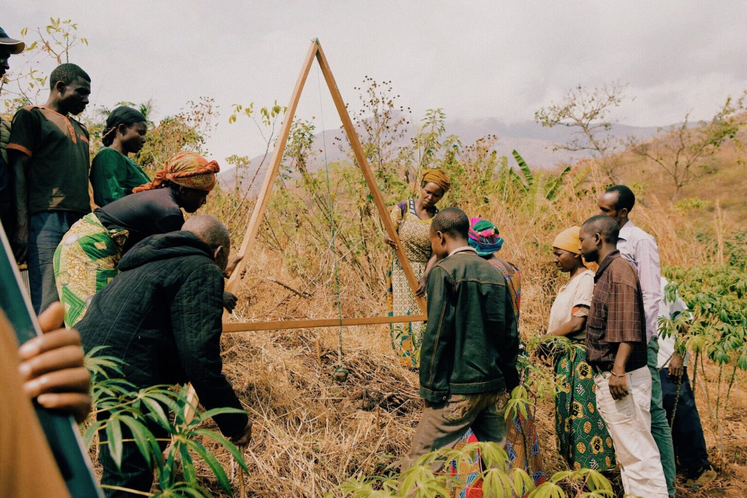 Before and after the A-Frame: The power of a remarkable tool | Plant ...